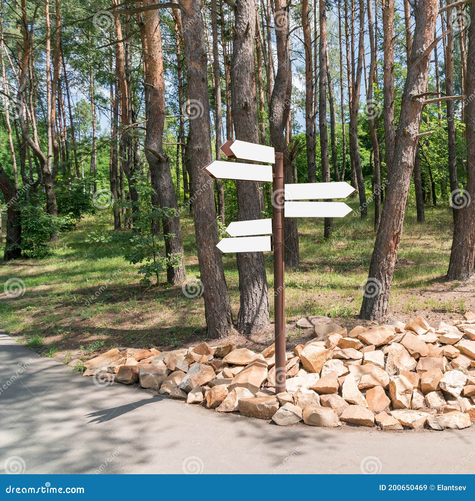 Blank, White Signposters in the Park Against the Background of Trees ...