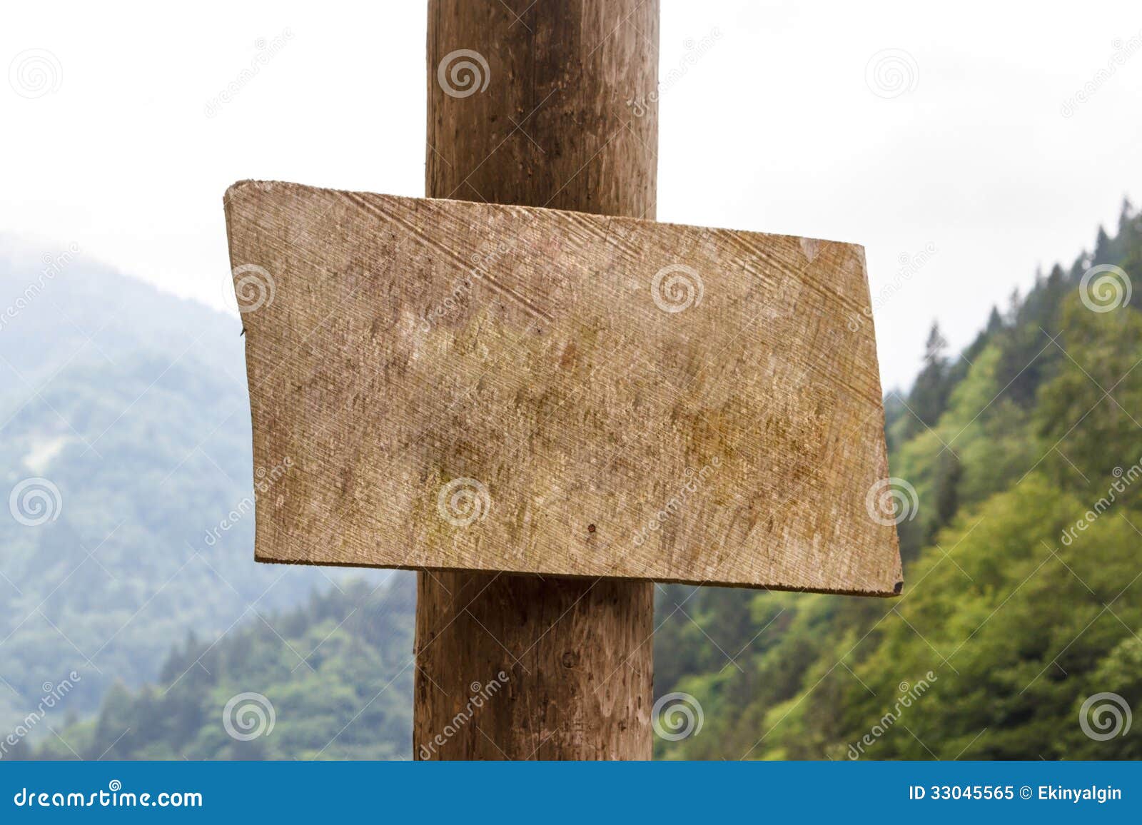 Blank Wooden Sign Board Forest Stock Images - Download 721 Royalty Free ...
