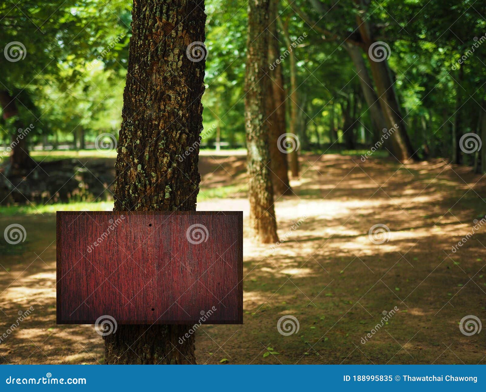 A Blank Wooden Square Sign on a Tree in the Forest beside the House ...