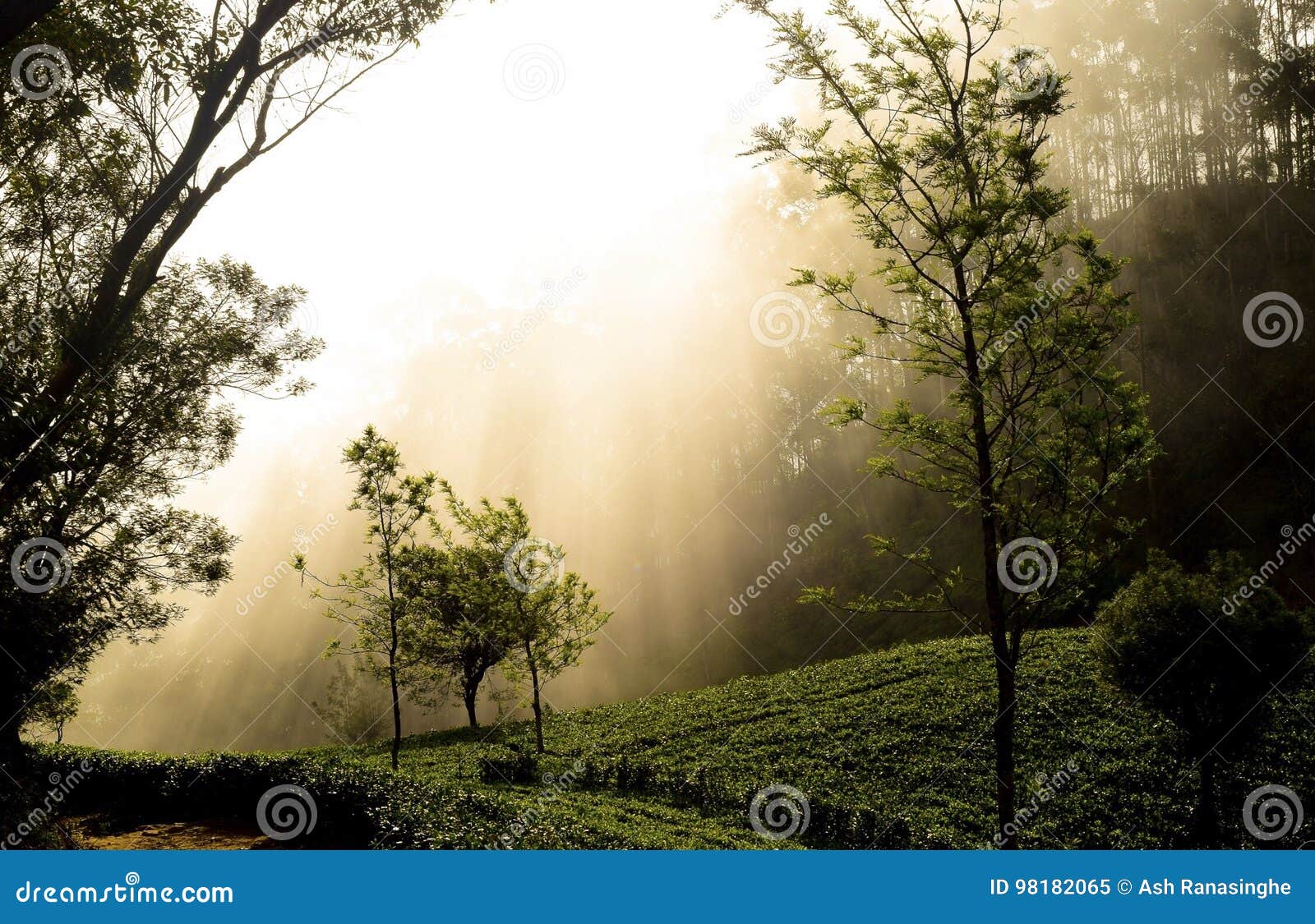 Lipton Gravel Road Mountain Stock Photos - Free & Royalty-Free Stock ...