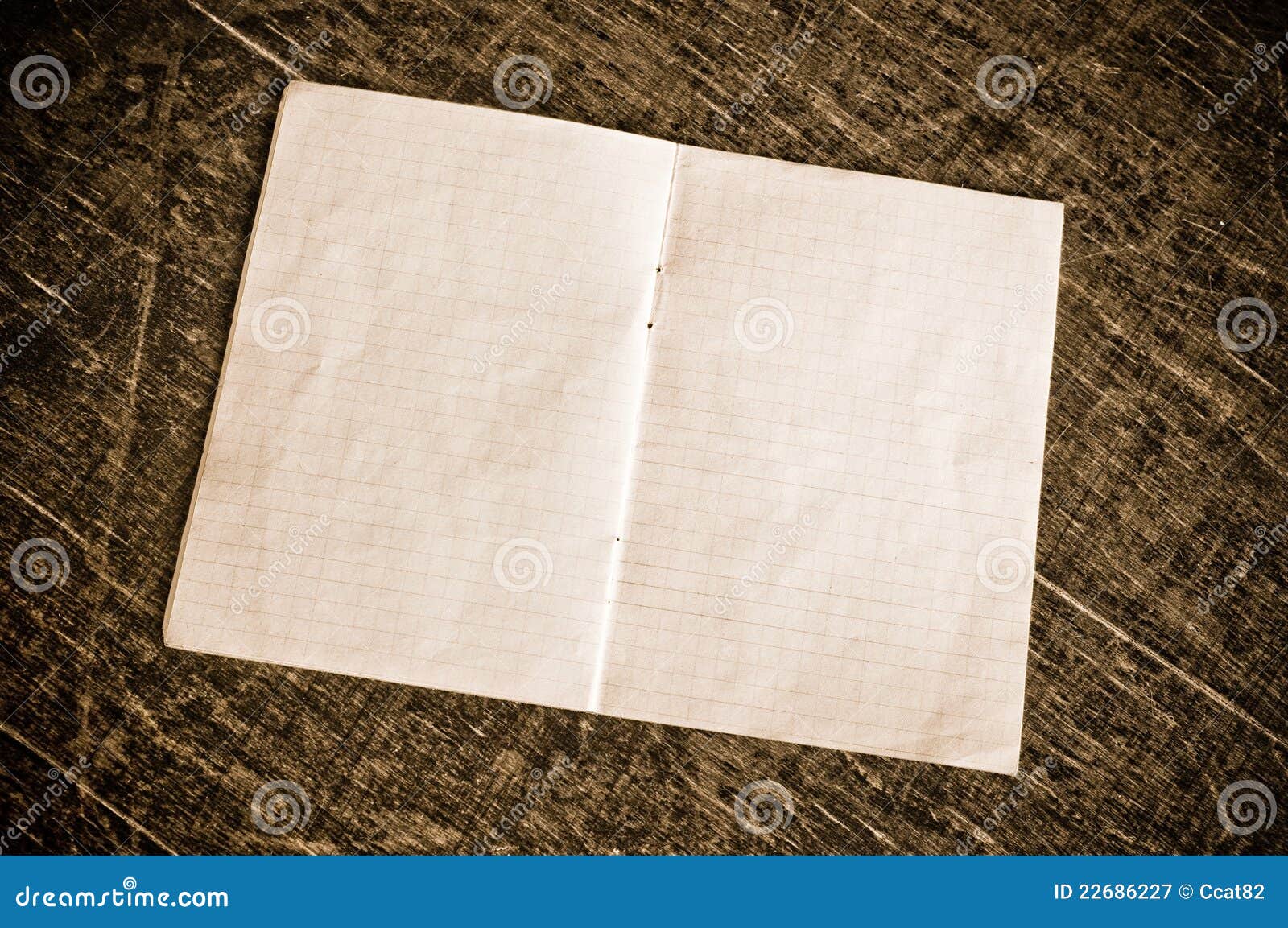 Blankt rutigt papper fotografering för bildbyråer. Bild av panel - 22686227