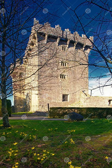 Blarney Castle stock image. Image of irish, architecture - 8467555