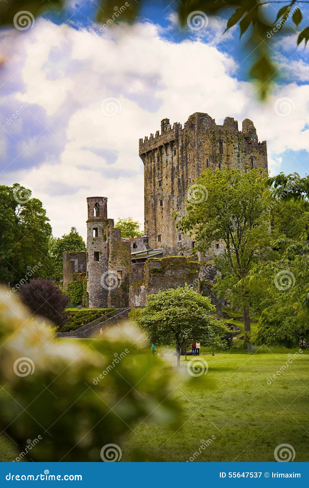 Blarney castle Ireland stock image. Image of garden, medieval - 55647537