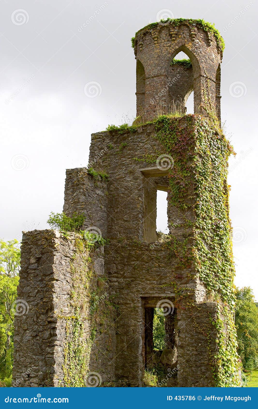 Blarney Castle Ruins stock photo. Image of tower, foliage - 435786 Blarney Castle Ruins stock photo. Image of tower, foliage - 435786
