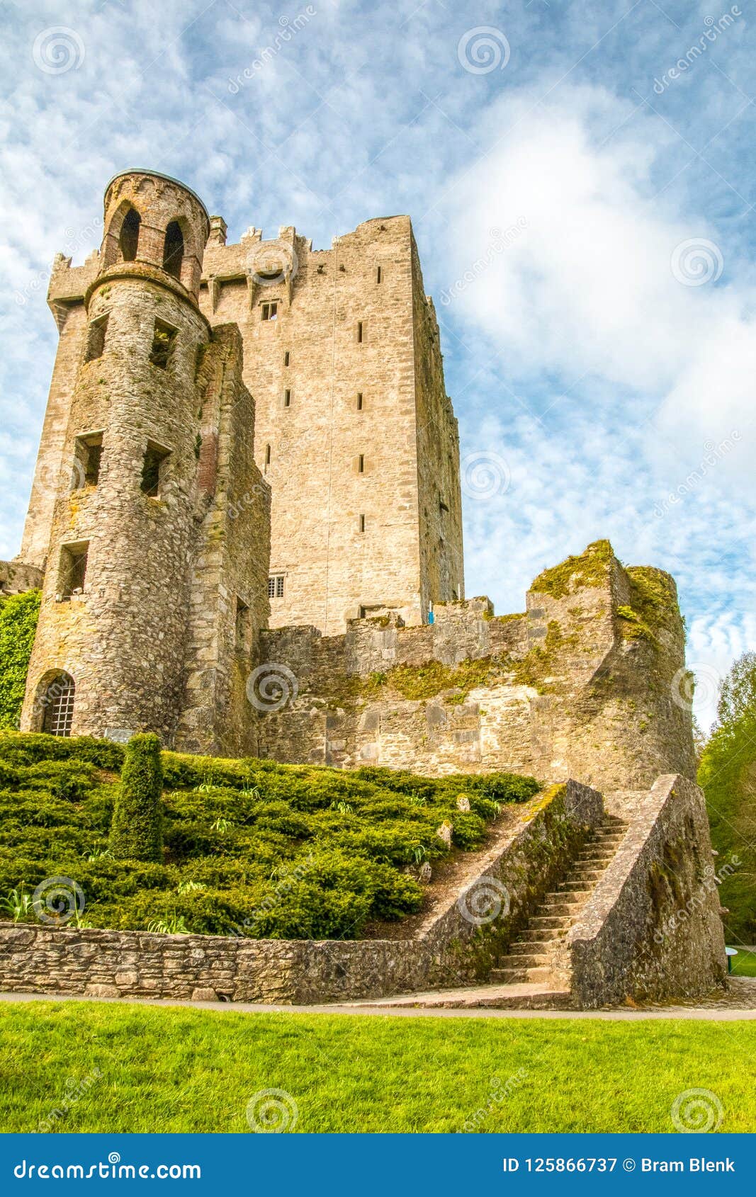 Blarney Castle Tower stock image. Image of castle, ancient - 125866737