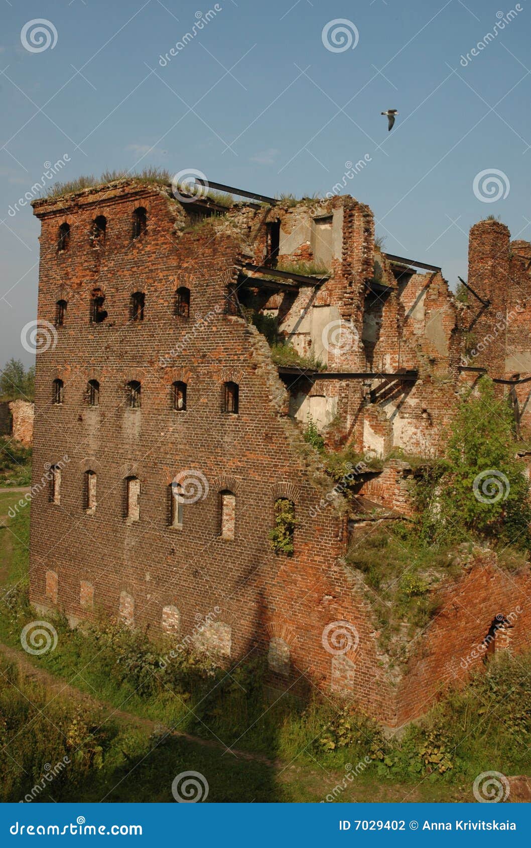 Blasted house stock photo. Image of autumn, culture, estate - 7029402