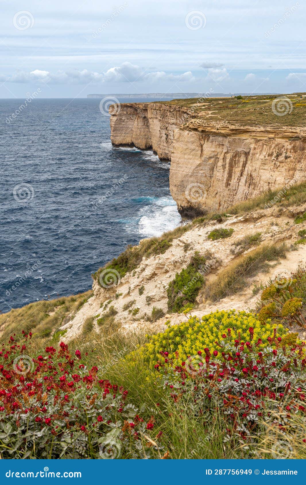Blata Tal Melh Coastline Cliff in Malta Stock Image - Image of waves ...