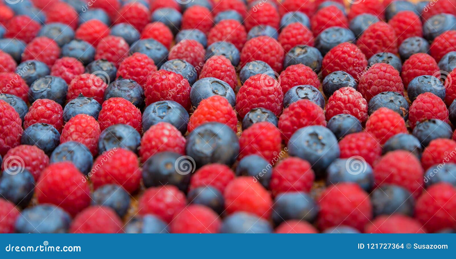 Blaubeer- Und Himbeerseitenansicht Stockfoto - Bild von dekorativ ...
