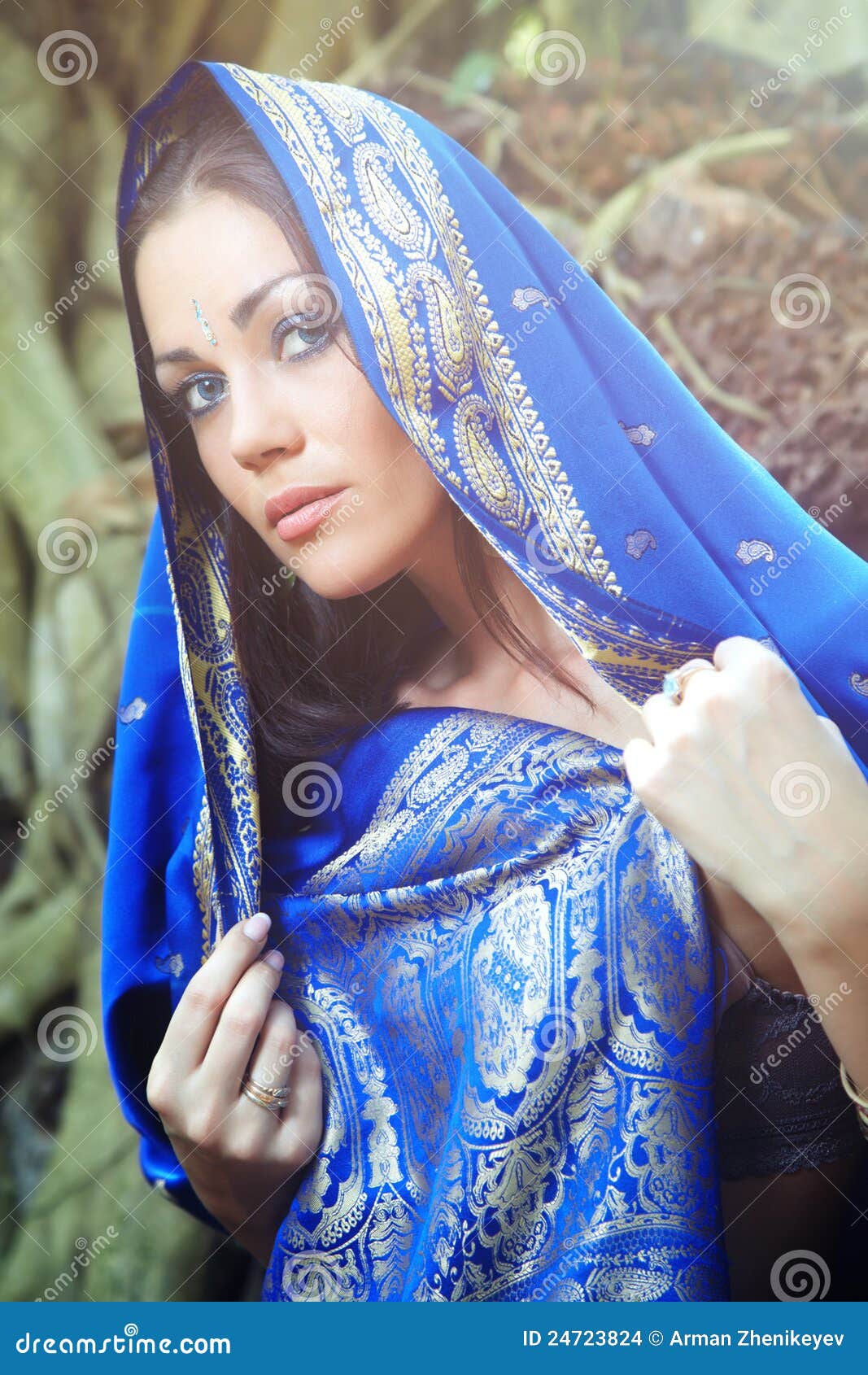 Blaue Sari stockfoto. Bild von dschungel, reinheit, palme - 24723824