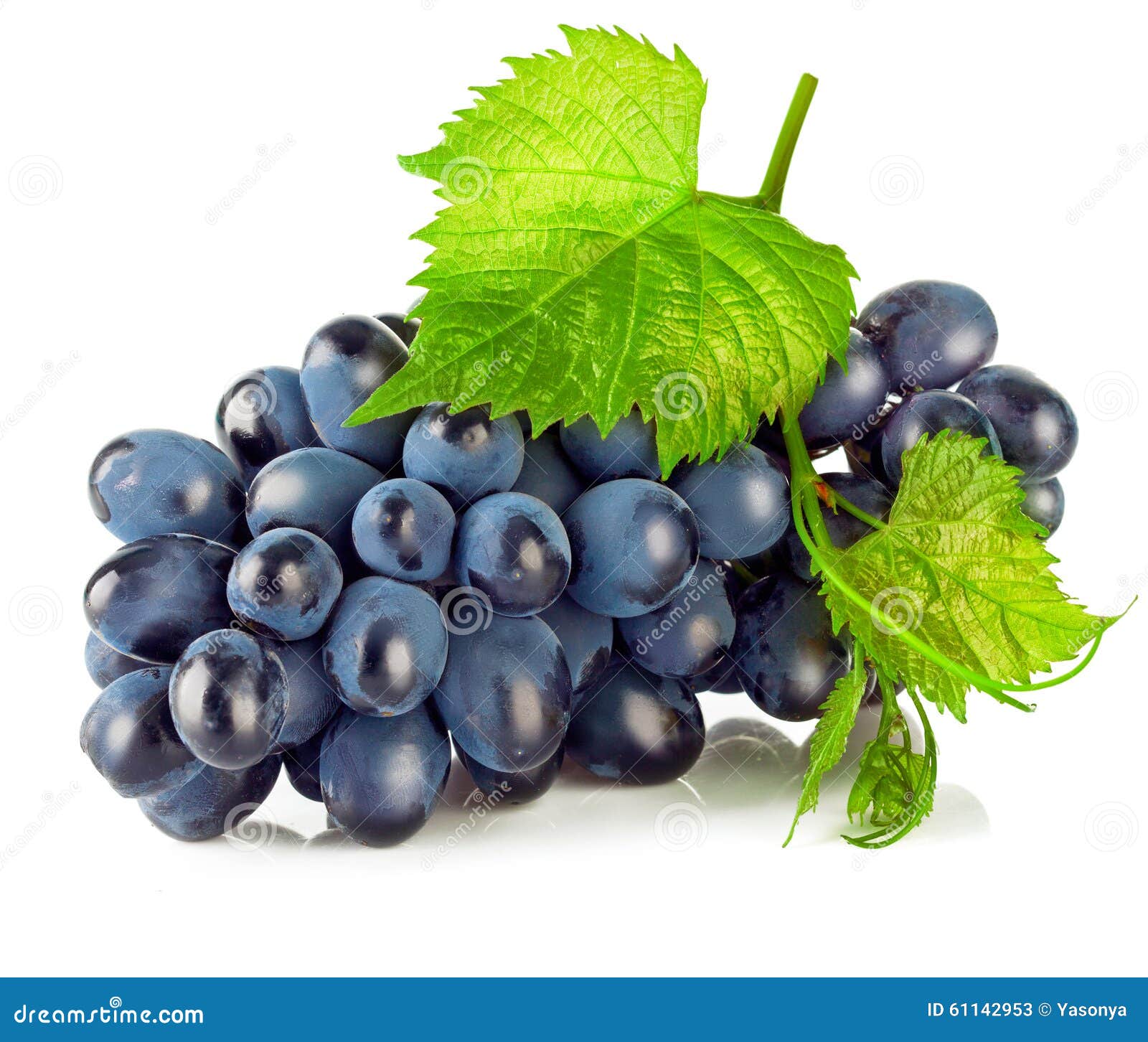 Blaue Trauben Der Gruppe Mit Grünem Blatt Stockbild - Bild von zweig ...