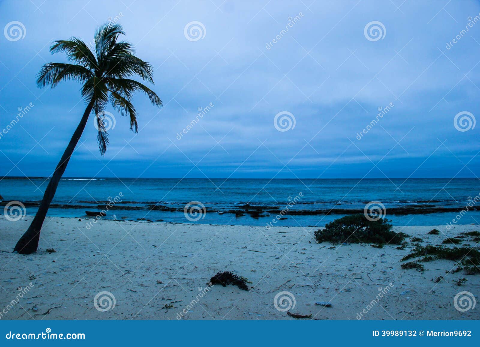 Blauer Strand stockfoto. Bild von bewölkung, palme, karibisch - 39989132