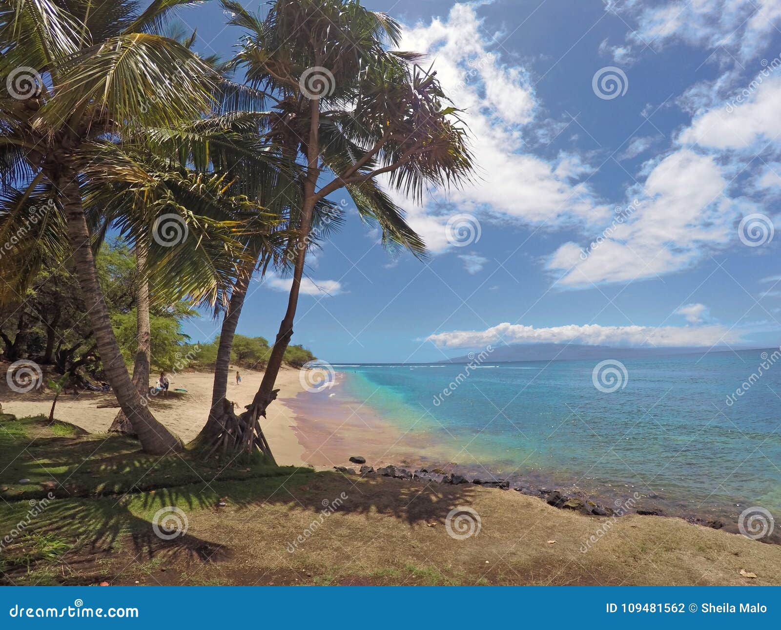 Blauer Strand Des Tropischen Paradieses Mit Palmtrees Stockfoto - Bild ...