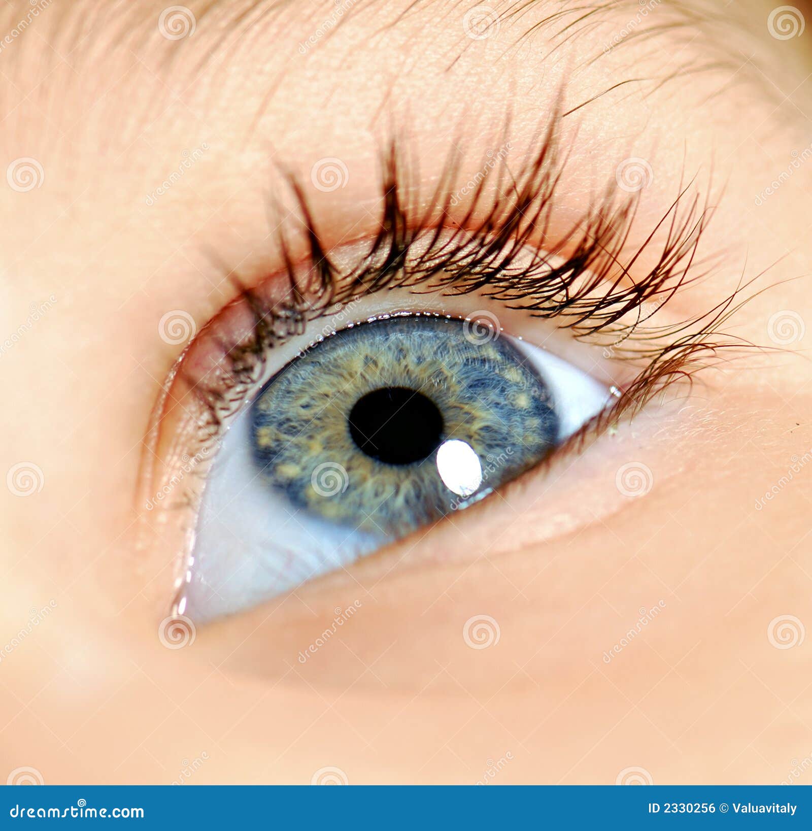Blaues Auge stockfoto. Bild von haar, augen, auge, lang - 2330256