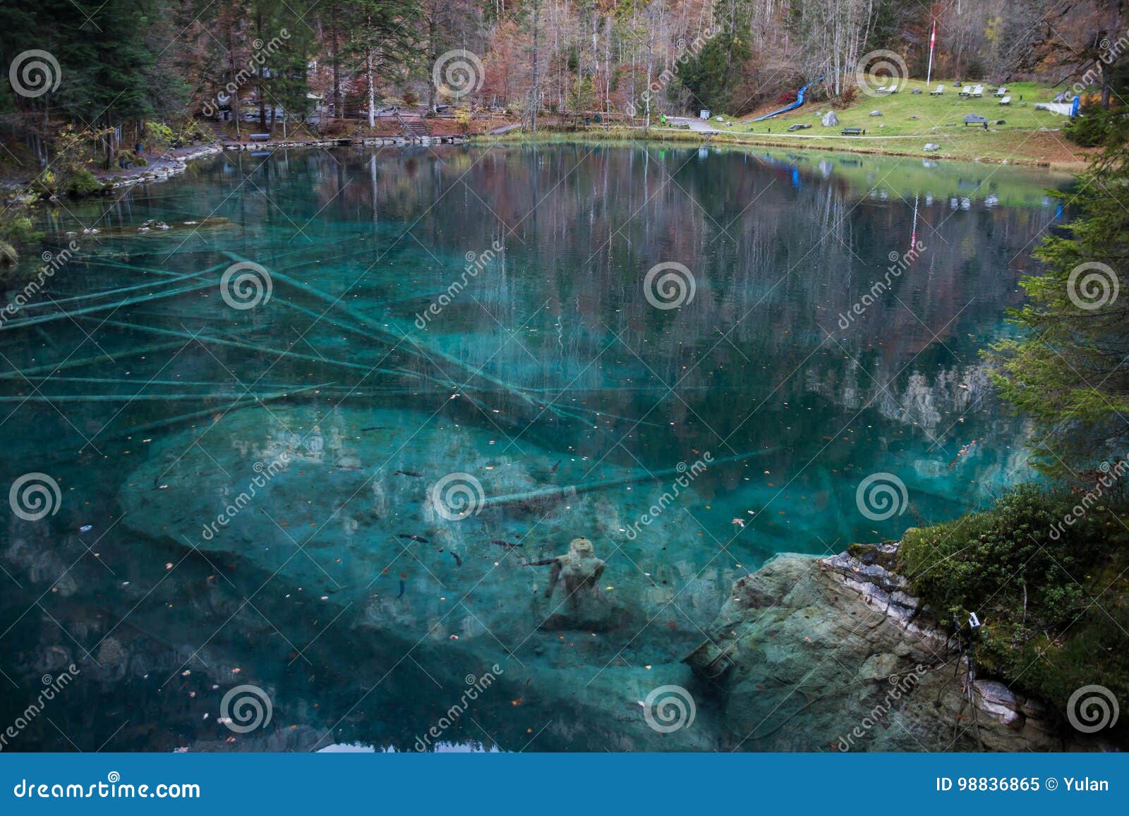 Blausee Blauer See, Berner Oberland, Die Schweiz Stockbild - Bild von ...