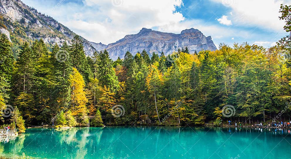 Blausee, Die Schweiz - Fall-Laub Stockfoto - Bild von schweizer, park ...