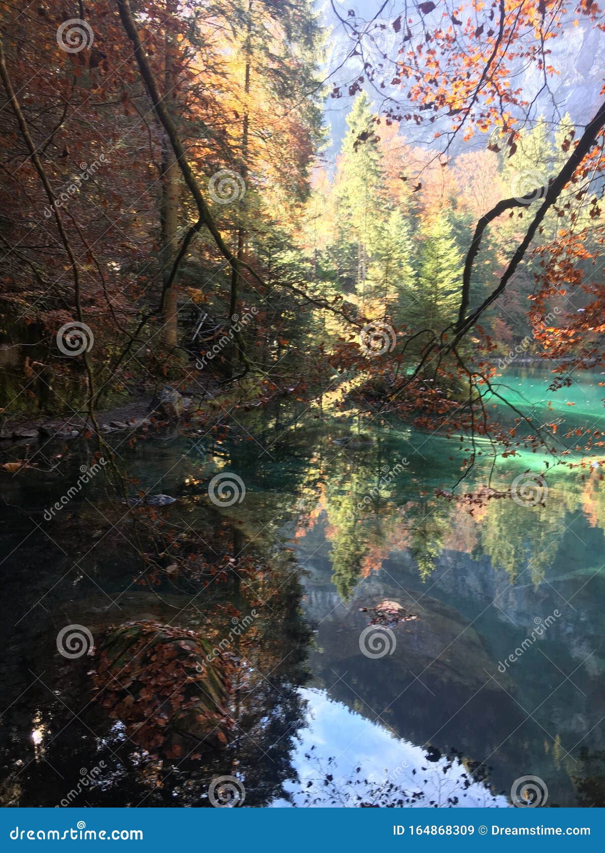 Blausee stock image. Image of fall, switzerland, water - 164868309