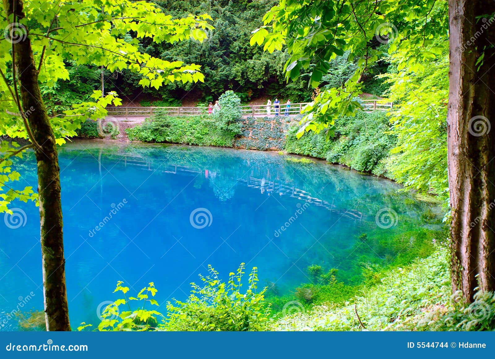 Blautopf Spring Pond stock photo. Image of forest, blue - 5544744