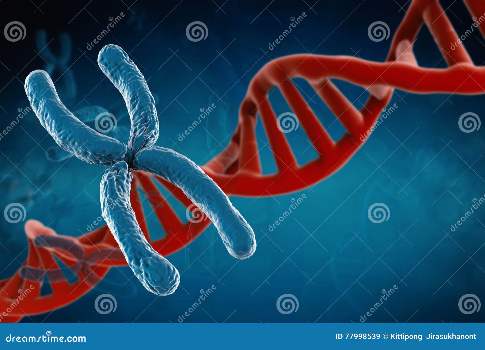 Blauw chromosoom stock afbeelding. Image of microscoop - 77998539