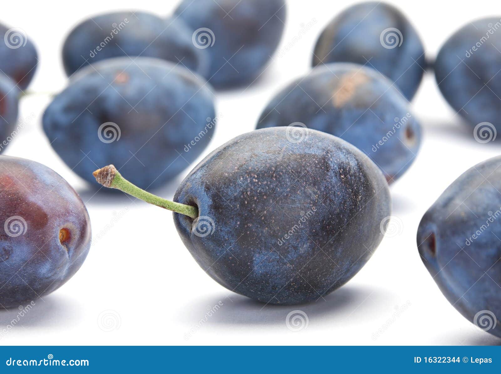 Blauwe pruim stock foto. Image of schaduw, rijp, beeld - 16322344