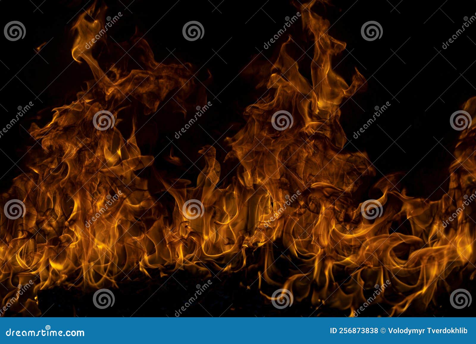 Blaze Burning Fire Flame on Art Texture Background. Stock Photo - Image ...