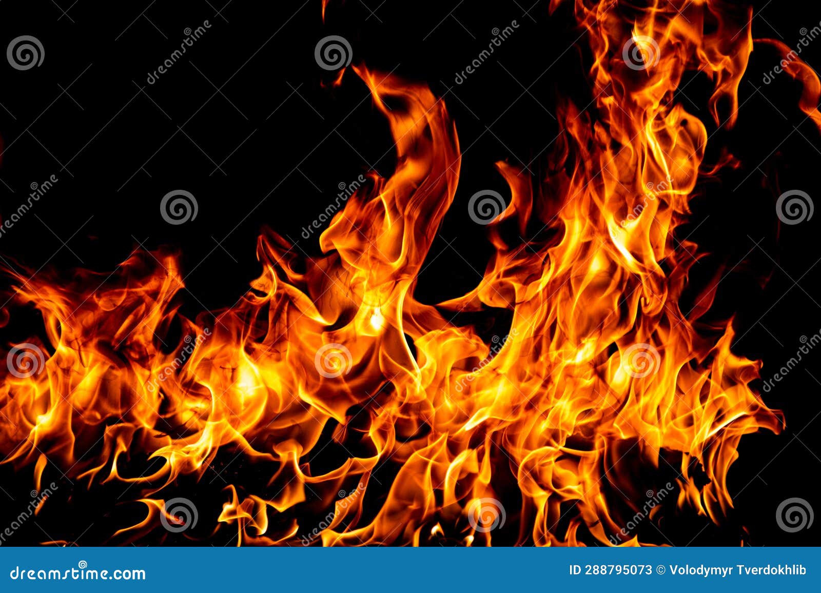 Blaze Burning Fire Flame on Art Texture Background. Stock Image - Image ...