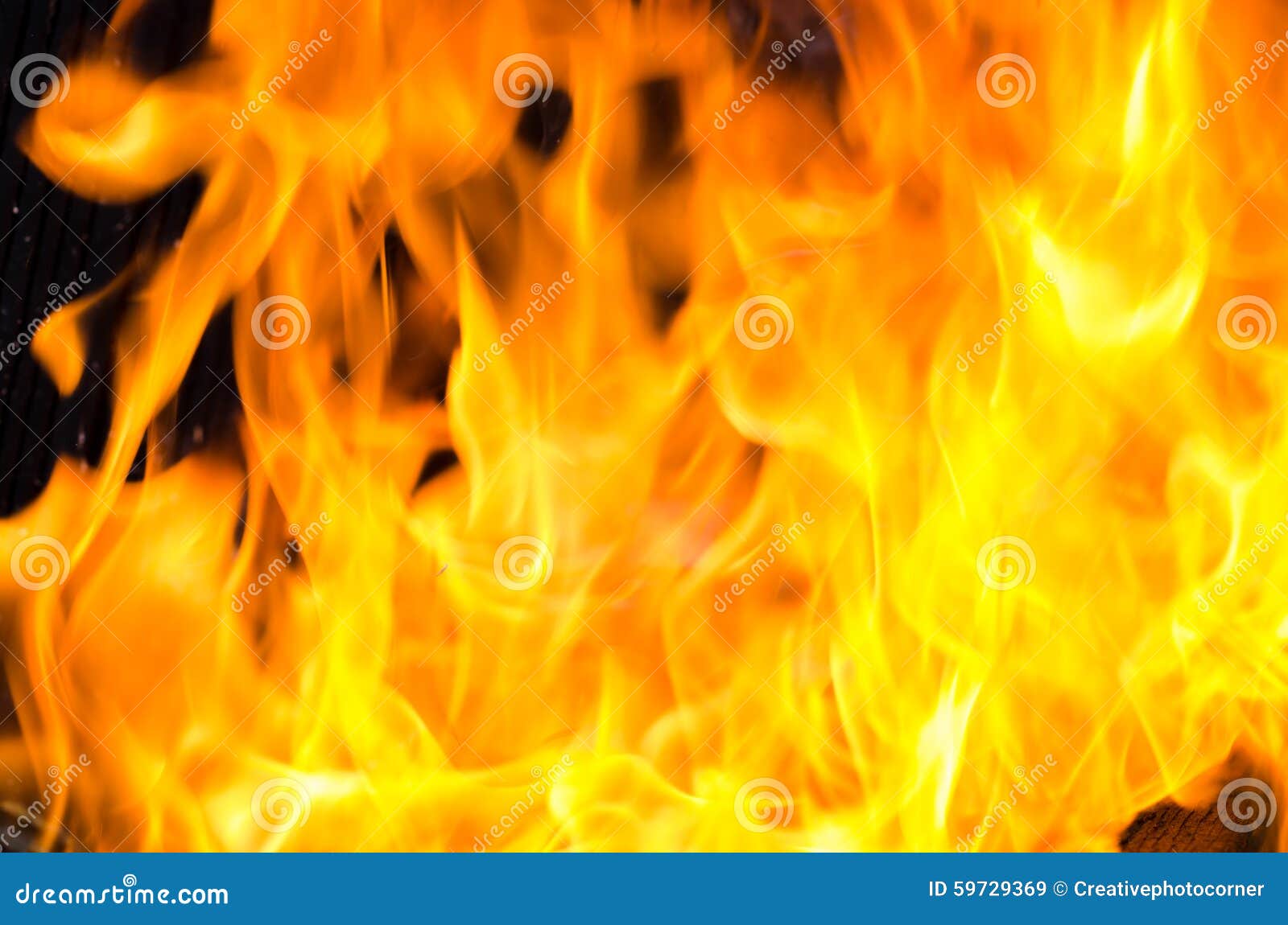 Blaze fire from flame. stock image. Image of dangerous - 59729369