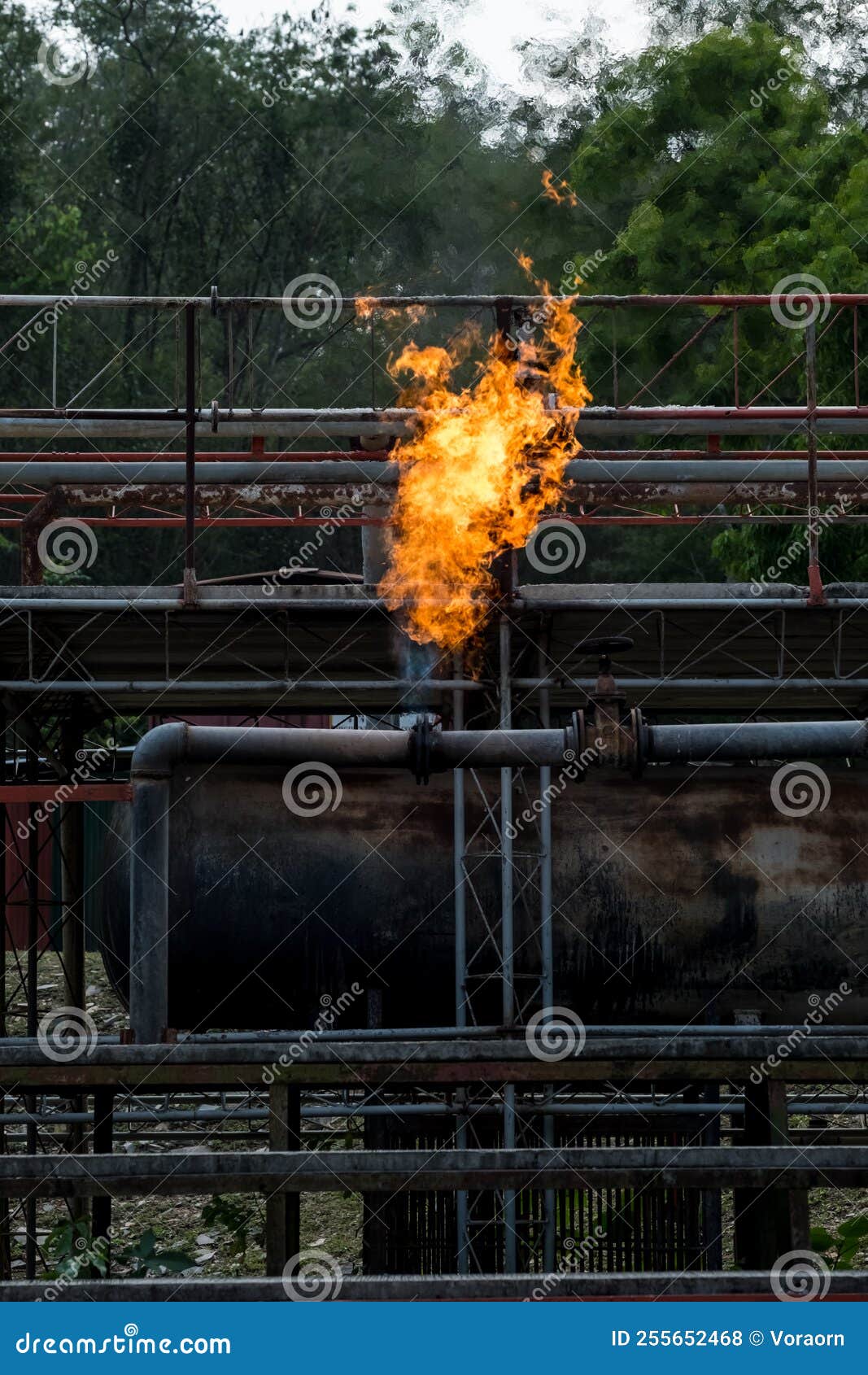 Blaze Fire Flame from Gas Pipe Stock Photo - Image of underworld ...