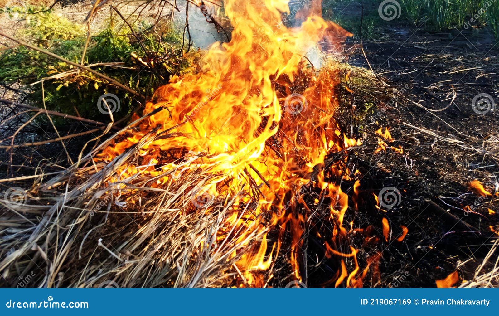 Blaze Fire Flame Texture Background Stock Image - Image of blaze ...