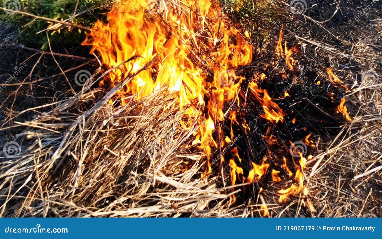 Blaze Fire Flame Texture Background Stock Image - Image of blaze, fire ...