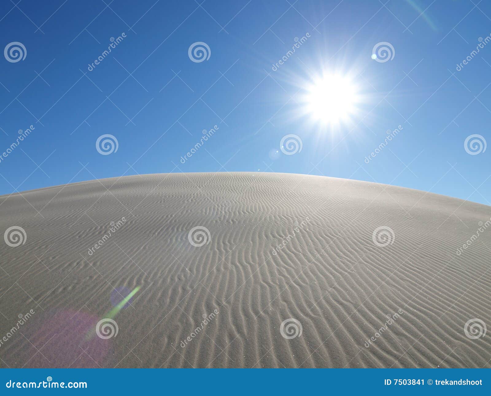 Blazing Desert stock image. Image of heat, desert, trek - 7503841