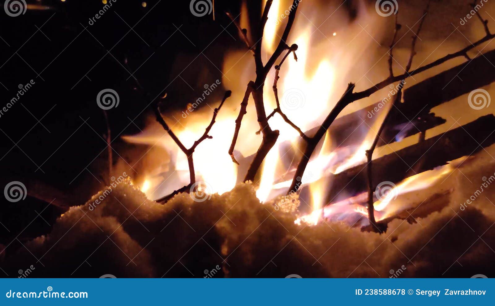A Blazing Fire. a Bonfire is Burning in the Forest Stock Photo - Image ...