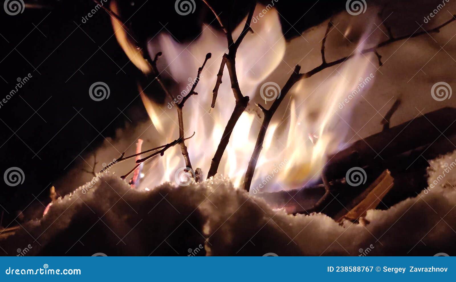 A Blazing Fire. a Bonfire is Burning in the Forest. the Texture of a ...