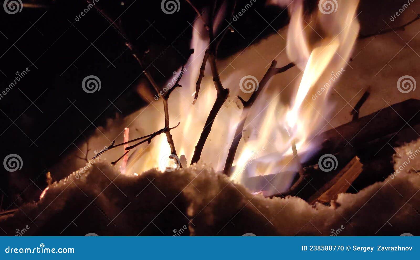 A Blazing Fire. a Bonfire is Burning in the Forest. the Texture of a ...