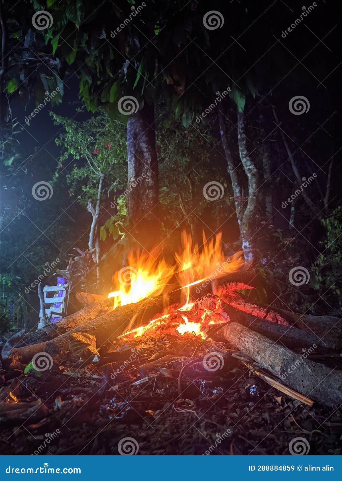 Blazing fire stock image. Image of good, burning, fire - 288884859