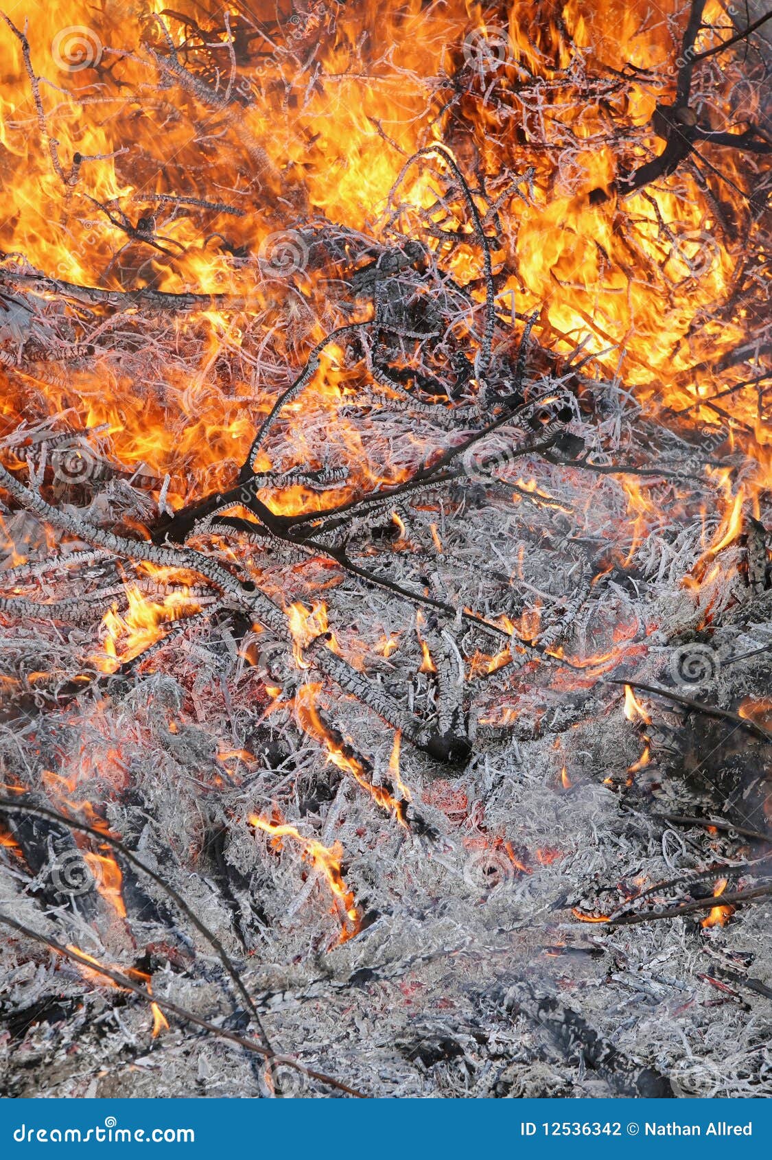 Blazing ground stock photo. Image of destruction, brush - 12536342