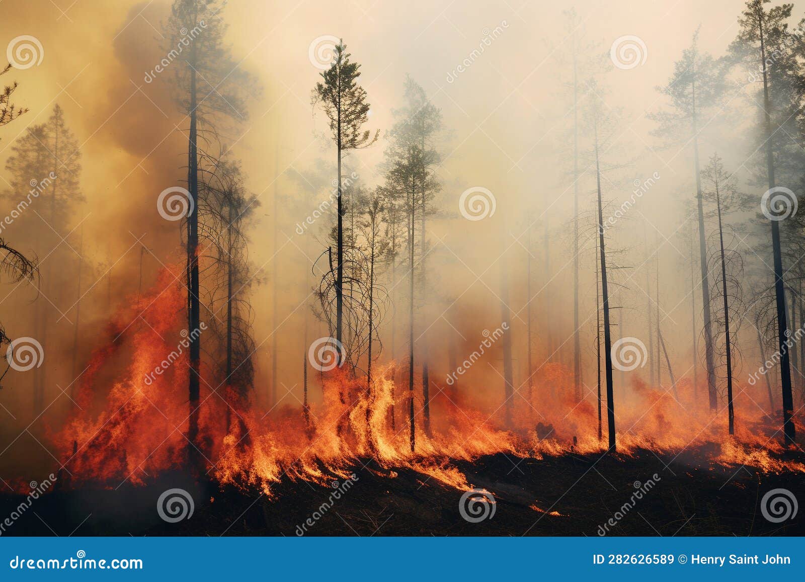 Blazing Inferno: the Wrath of a Forest Fire Stock Illustration ...