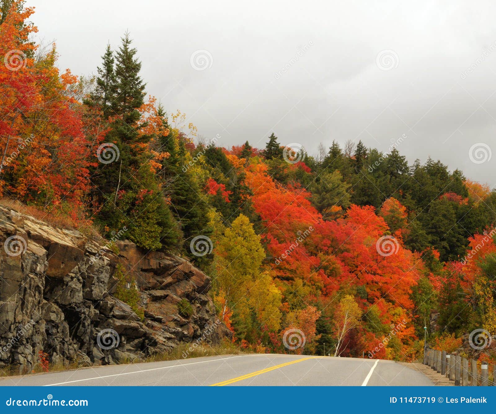 Blazing Red Trees and a Road Stock Image - Image of colors, road: 11473719