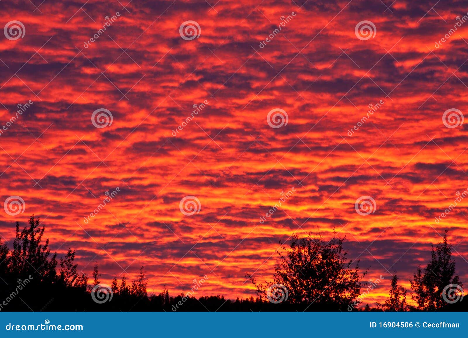 Blazing Sunset stock photo. Image of dramatic, blaze - 16904506