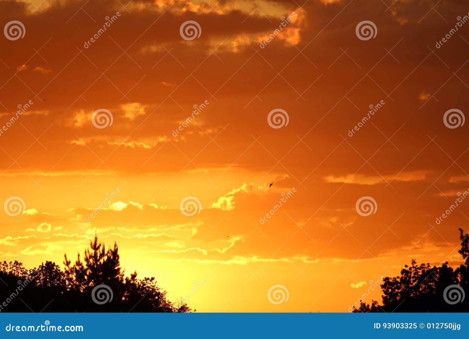 Blazing sunset in June stock image. Image of blazing - 93903325