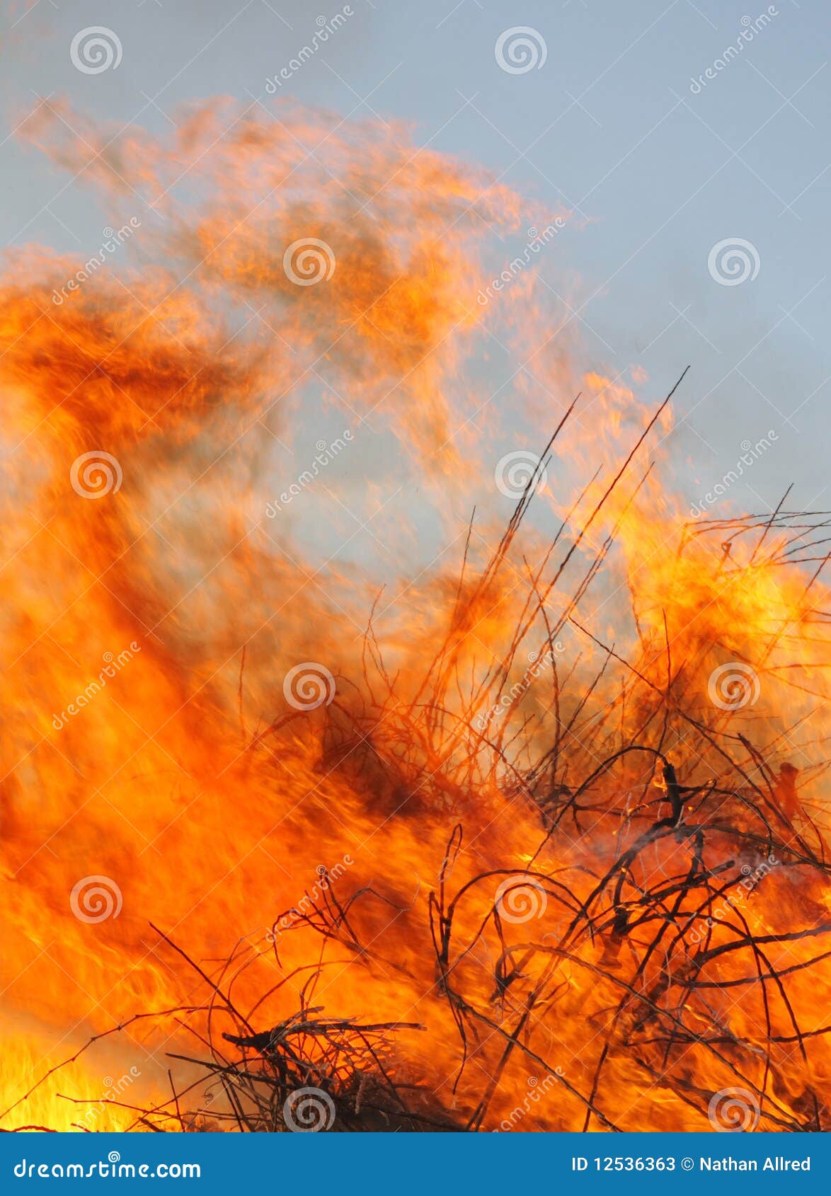 Blazing wildfire stock image. Image of smoke, heat, summer - 12536363