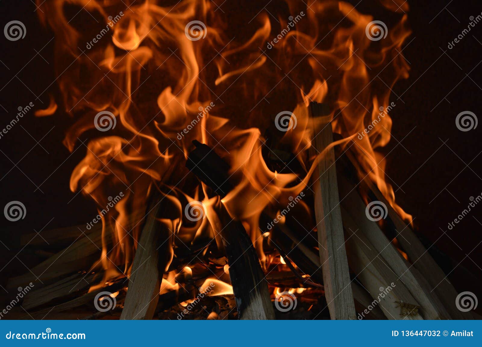 Blazing wood fire stock photo. Image of burning, danger - 136447032