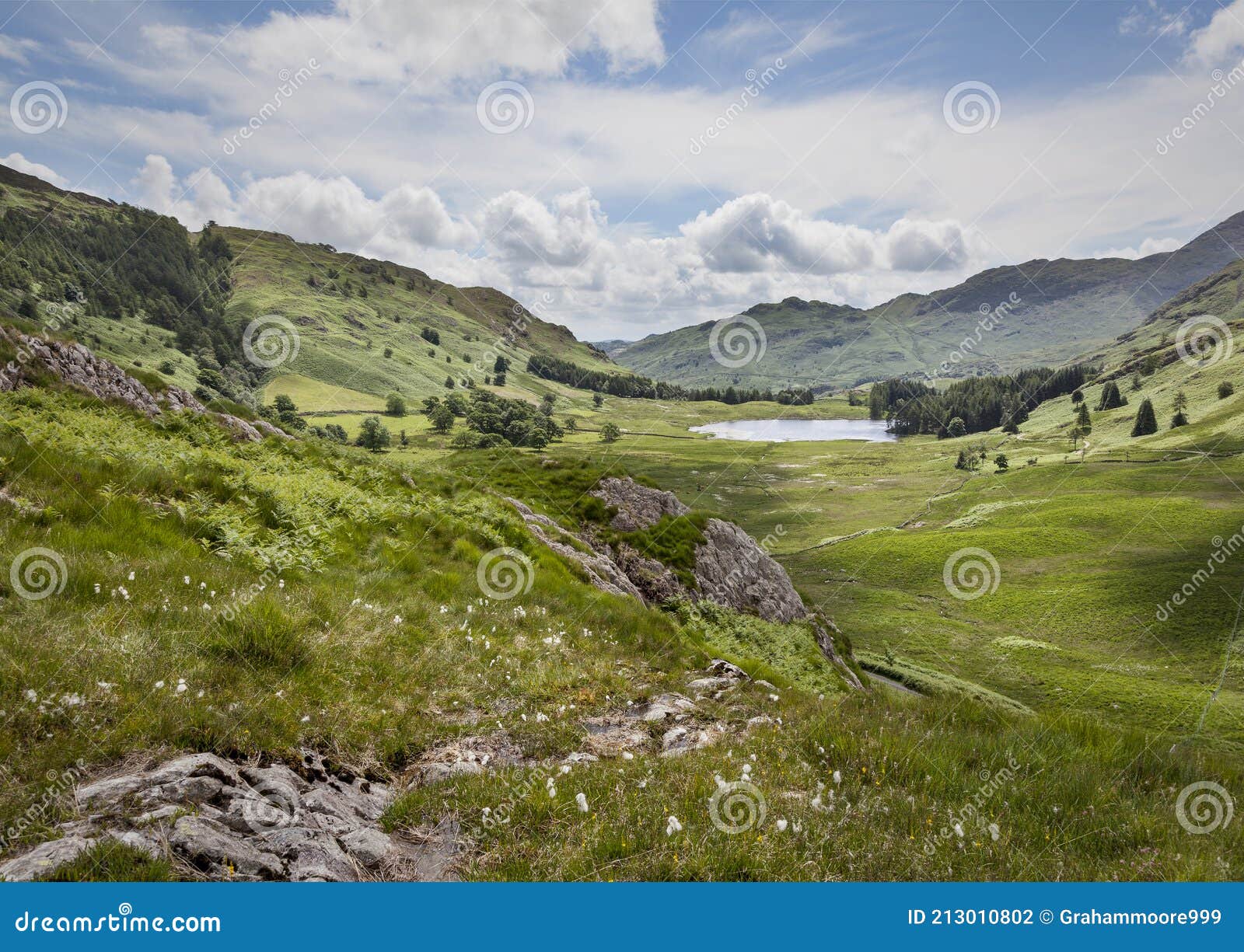 Blea Tarn from Side Pike stock photo. Image of side - 213010802