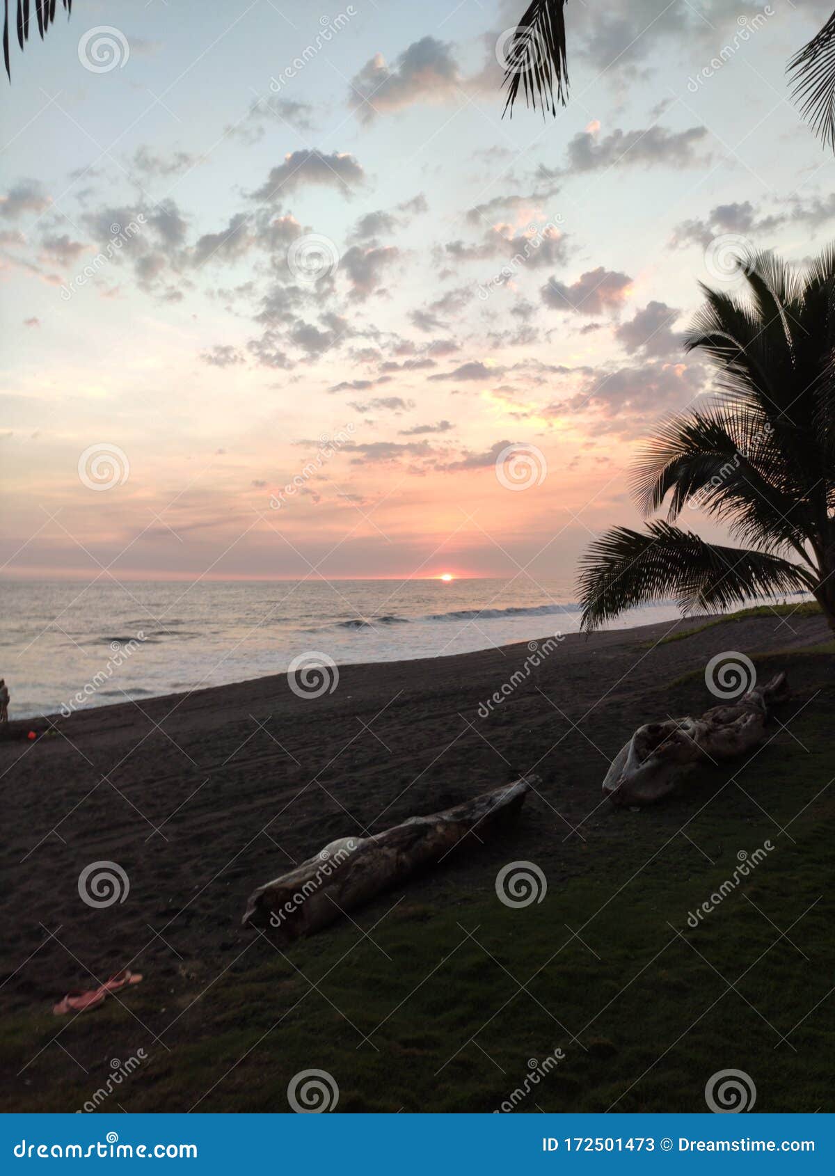 Bleach Sunset Sun Palms Sand Stock Image - Image of palms, bleach ...