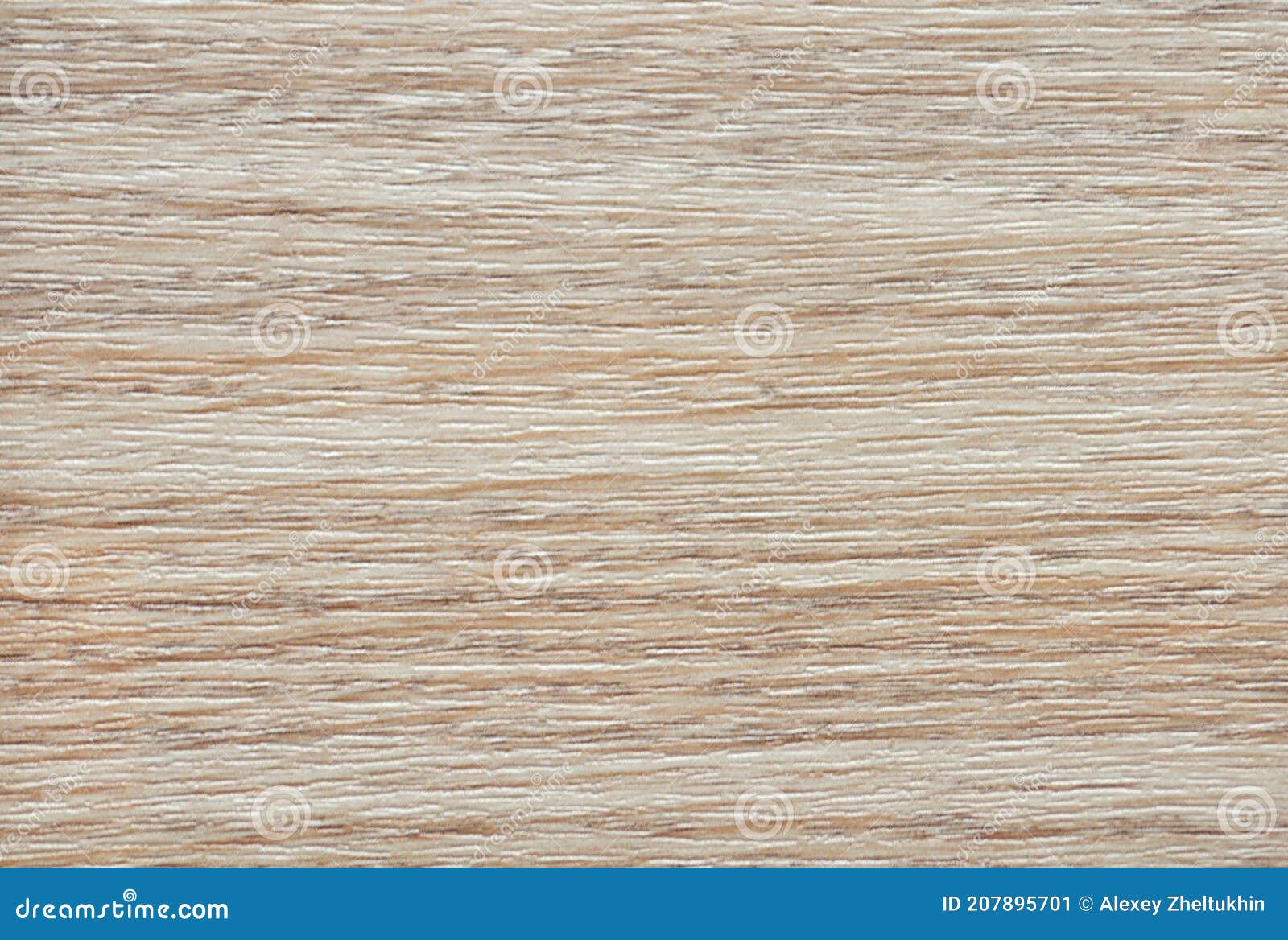 Bleached Oak, Flat Surface of Natural Wood Close-up Stock Image - Image ...