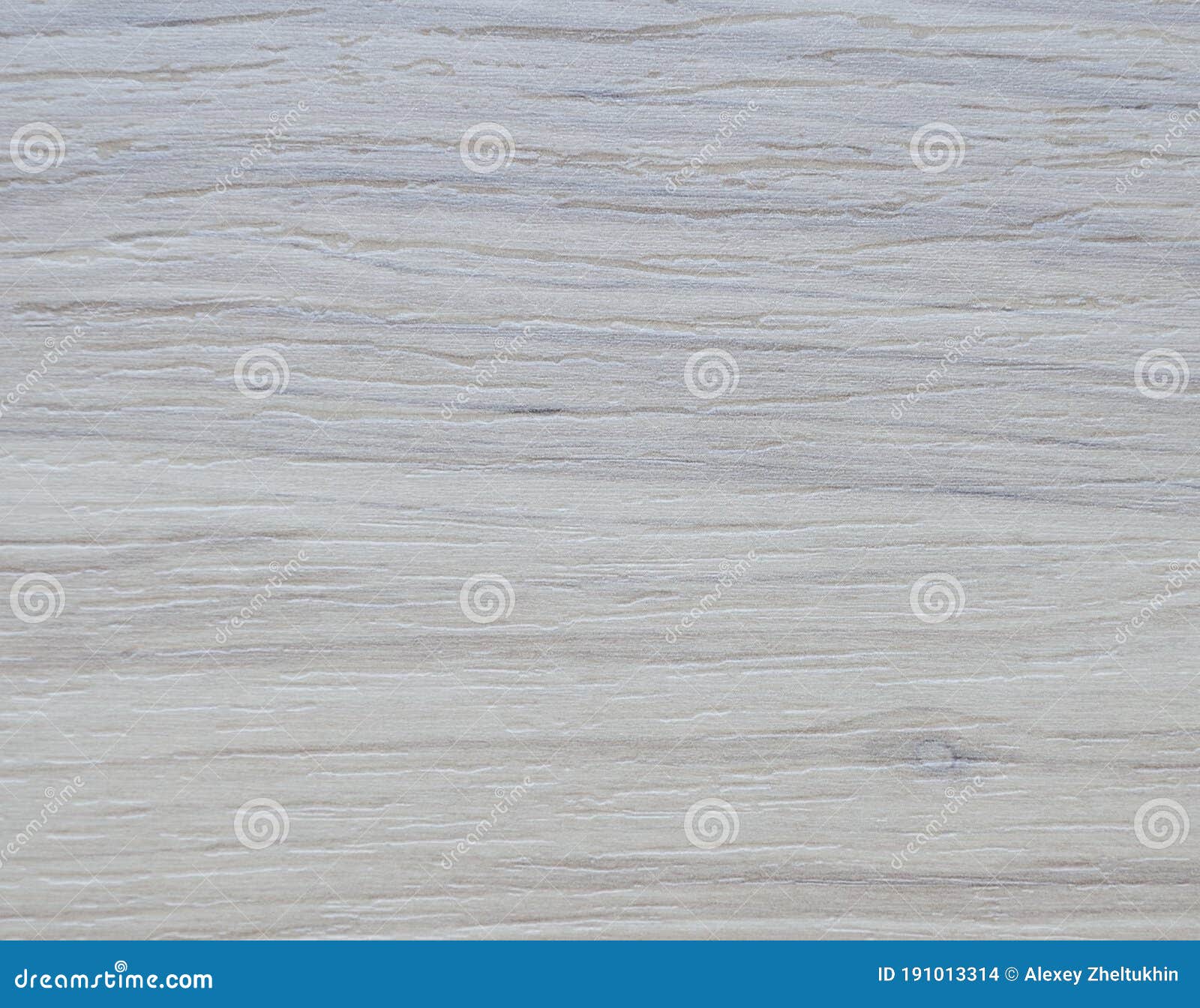 Bleached Oak, Texture of Natural Light Wood Close-up Stock Photo ...