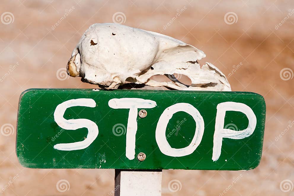 Bleached Skull with Green Painted Stop Sign Stock Photo - Image of ...