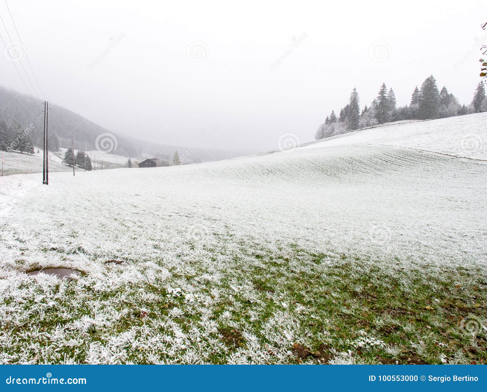 Bleak Misty Winter Landscape with Light Snow Stock Photo - Image of ...