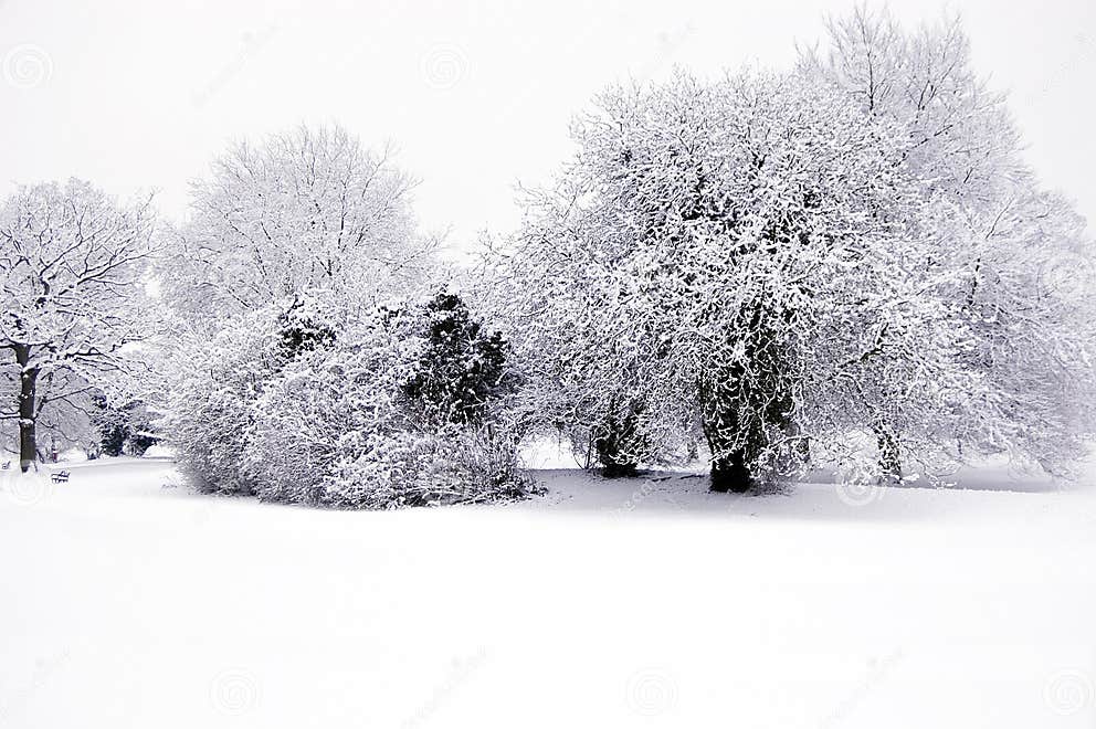 Bleak Winter Snow Scene stock image. Image of snow, deep - 12415277