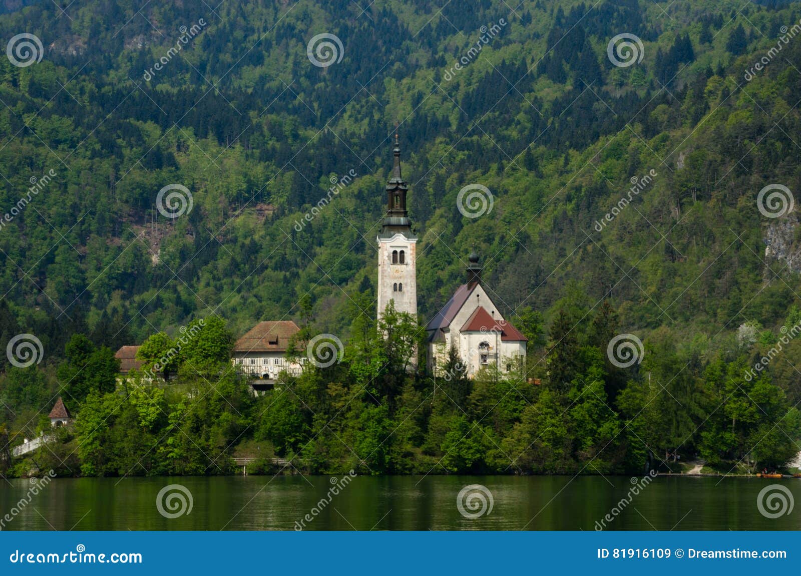 Bled Island stock image. Image of tree, yugoslavia, forest - 81916109