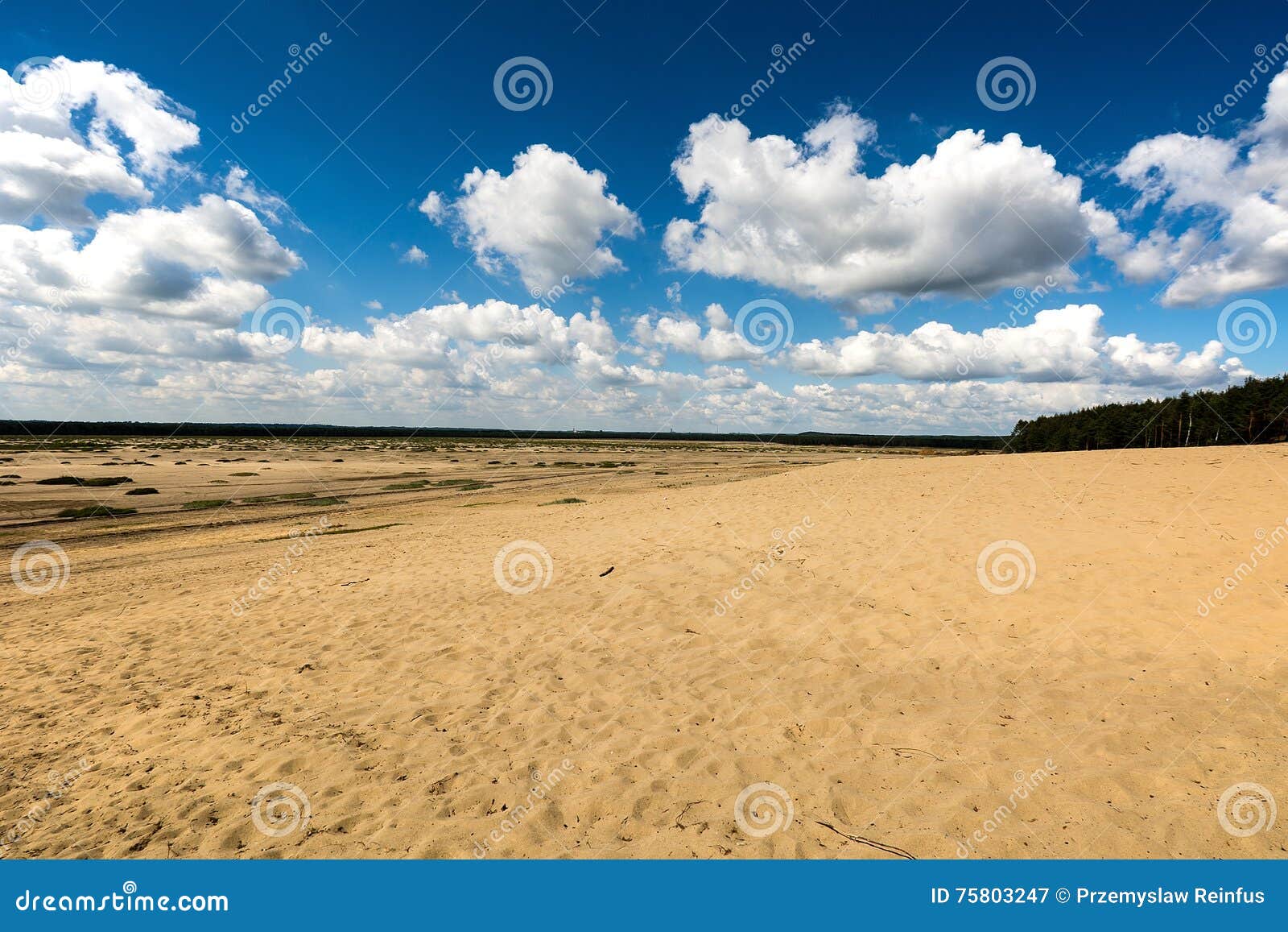 Bledowska Desert Sand The Largest Area Of Quicksand In Poland. Located ...
